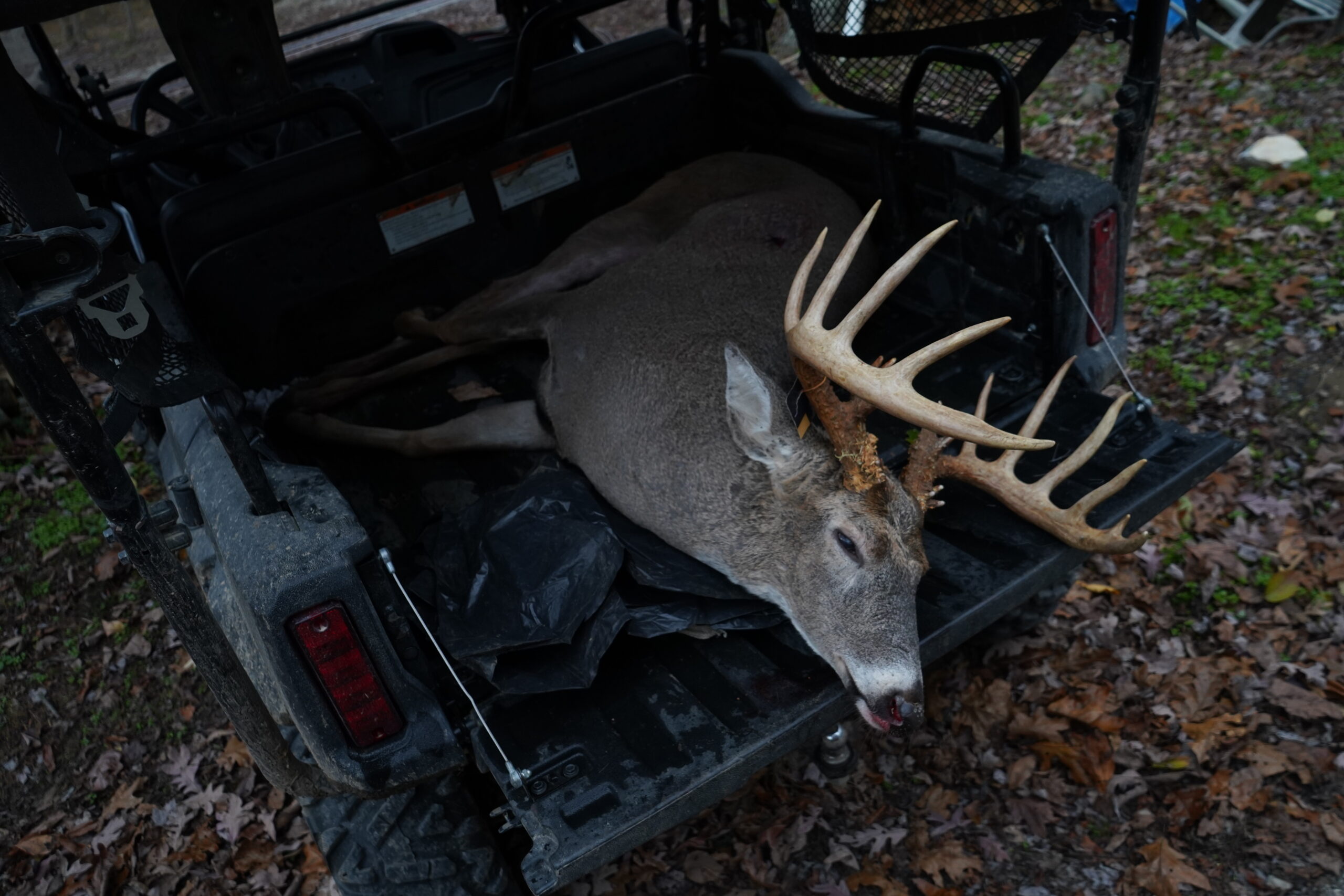 The #1 Habit of Top Whitetail Hunters - Deer IQ